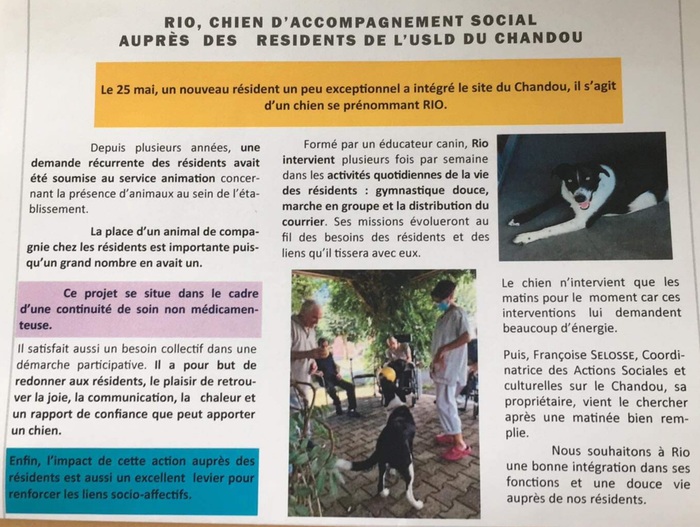 Le chien de thérapie :: Action ded Dressage Education chien Malemort ...